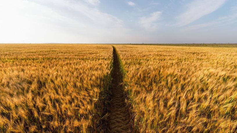 UAE farms among most popular to visit